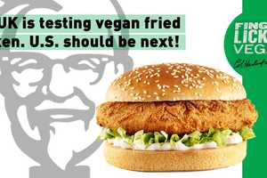 Vegan-Friendly Chicken Burgers : Imposter Burger