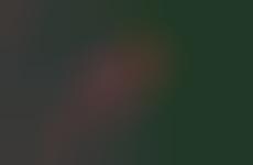 Luxury Vegan Jacket Collections : VAUTE Couture