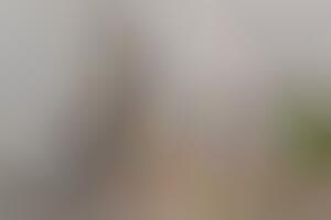 Beehive-Inspired Modular Shelving Systems : modular shelving systems