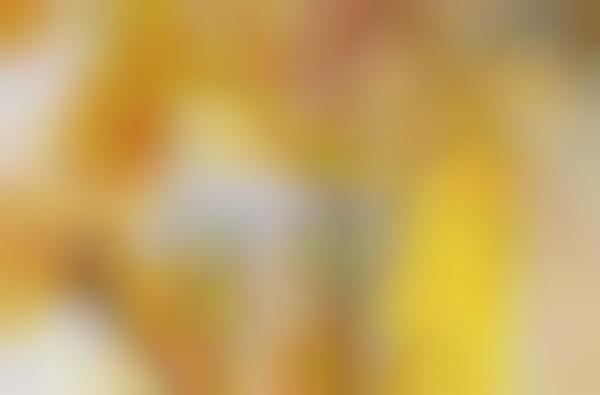 High-Tech Color Readers : color reader