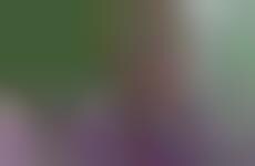 Reversed Sentence Ads : Swiss Life campaign