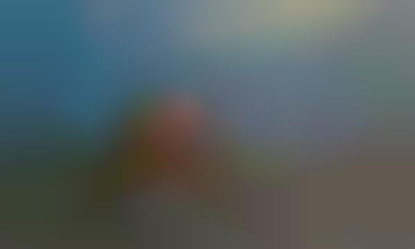 Barebones Multipurpose Shacks : Powers Construction Site Shack