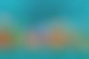 Fresh Tomato Pasta Kits : pasta kits