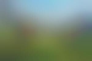 Video Game TV Shows : video game tv show