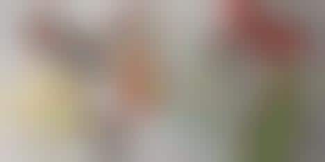 Globally Inspired Chicken Snacks : portable snack pack