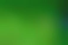 Neon Green Fashion Pop-Ups : Louis Vuitton Pop-Up