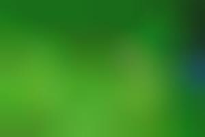 Neon Green Fashion Pop-Ups : Louis Vuitton Pop-Up