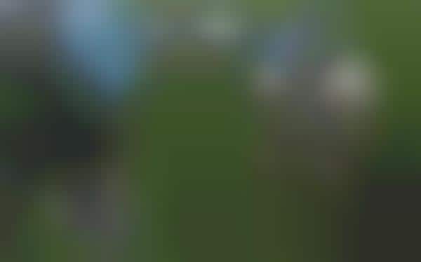 AI-Powered Harvesting Robots : Vegebot