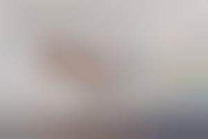 Imperfect Photo Galleries : Zero Likes Given exhibition