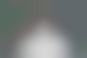 Lab-Grown Spider Silk Dresses : spider silk dress