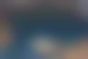 3D Floor Murals: 10 Incredible Optical Illusion Designs to Floor Your ...