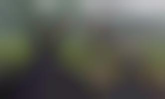 Aerial Drug Sniffing: Dutch Police Use 'Canna Chopper' To Find Cannabis