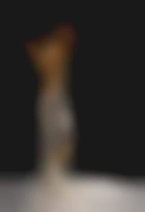 Milk Dresses: Andrey Razumovsky's Racy Liquid Fashiontography