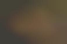 Manure Building Bricks: Eco-Friendly Construction Materials Made from ...