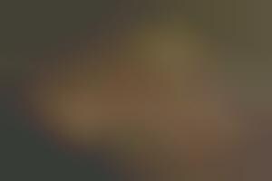 Manure Building Bricks: Eco-Friendly Construction Materials Made from ...