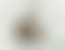 Garlic Camo: Chlormint Campaign Illustrates its Ability to Mask Bad Breath