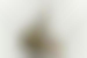 Garlic Camo: Chlormint Campaign Illustrates its Ability to Mask Bad Breath