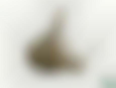 Garlic Camo: Chlormint Campaign Illustrates its Ability to Mask Bad Breath