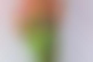 Upcycled Vegetable Trail Mixes : Vegetable Trail Mix