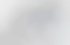 Intuitive Health Platforms : Tactio Health