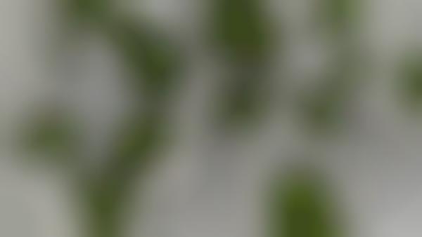 Large-Scale Printed Ecosystems : GENESIS Eco Screen