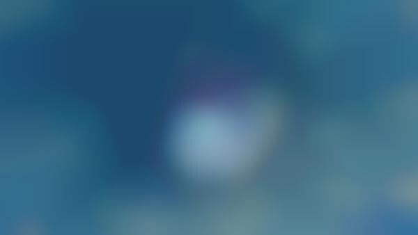 Dedicated Hard Seltzer Festivals : Fizz Fight