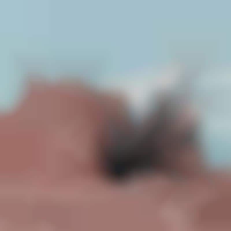 Top 100 Art & Design Trends in September