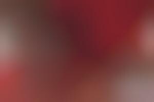 AR Cocktail Recipes : cocktail recipe