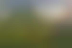 WiFi-Connected Public Benches : smart bench