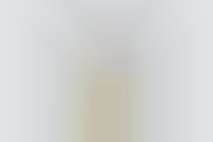 Cognition-Boosting Nut Milks : functional beverage