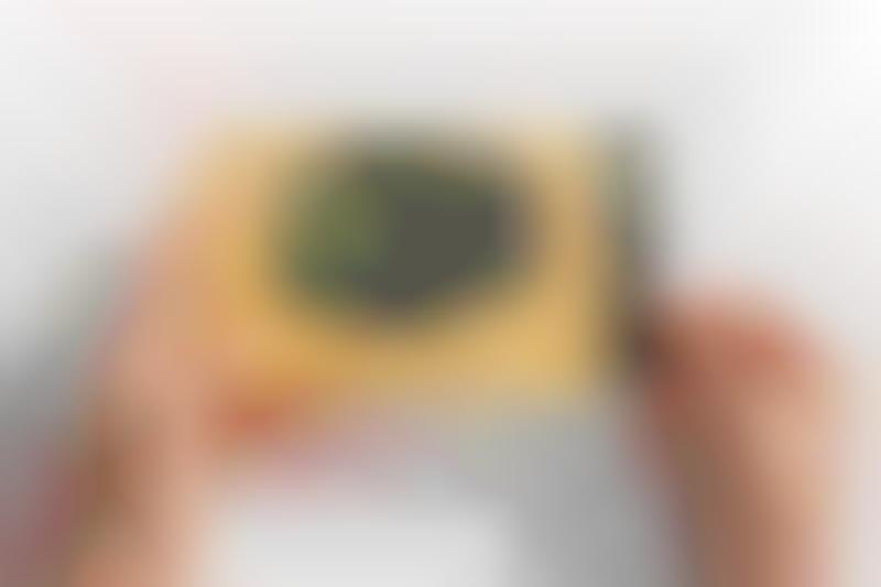 Top 100 Design Trends in October