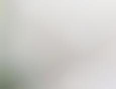 Spill-Proof Scent Diffusers : Pre-Fragranced Reed Diffuser