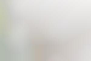 Spill-Proof Scent Diffusers : Pre-Fragranced Reed Diffuser