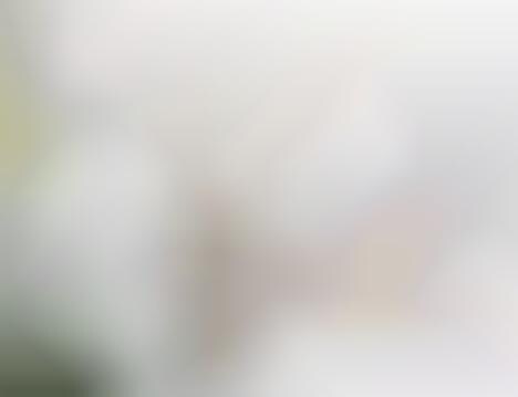 Spill-Proof Scent Diffusers : Pre-Fragranced Reed Diffuser