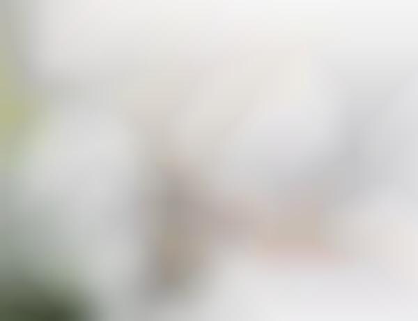 Spill-Proof Scent Diffusers : Pre-Fragranced Reed Diffuser