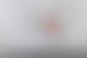 Botanical Non-Alcoholic Spirits : Ritual Zero Proof