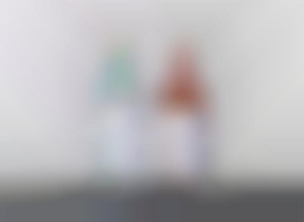 Botanical Non-Alcoholic Spirits : Ritual Zero Proof