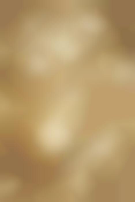 Potty-Trained Parrots: Owners Teach Their Bird to Poo in the Loo