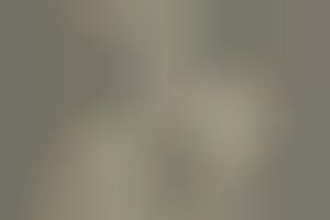 Haute Interior Neon Lamps : MÖN lamps