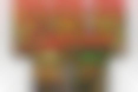 Internationally Flavored Rice Mixes : brown rice mix