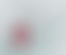 Freshness-Concerned Refrigerator Tech : high-tech refrigerator