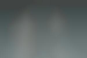 Novelty Alcohol Bottles : Source One Vodka