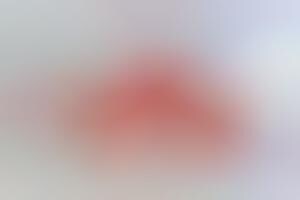 Shoe Box-Inspired Art Exhibitions : Nike shoe boxes