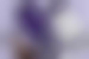 Virtual Healthcare Services : amazon care