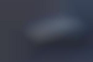 Carbon Fiber Gaming Mouses : Zaunkoenig M1K