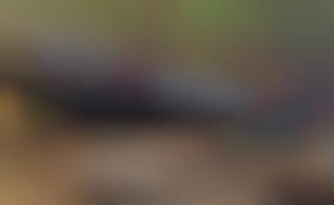 All-in-One Emergency Survival Tools : LIFESABER