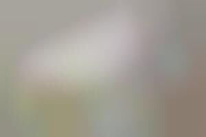 Interactive Bilingual Books : languages for kids