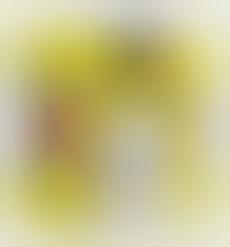 Plant-Based Alternative Burgers : alt burger