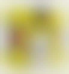 Plant-Based Alternative Burgers : alt burger