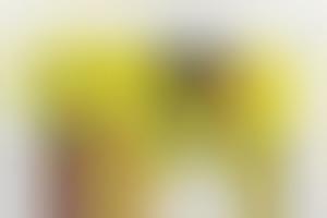 Plant-Based Alternative Burgers : alt burger